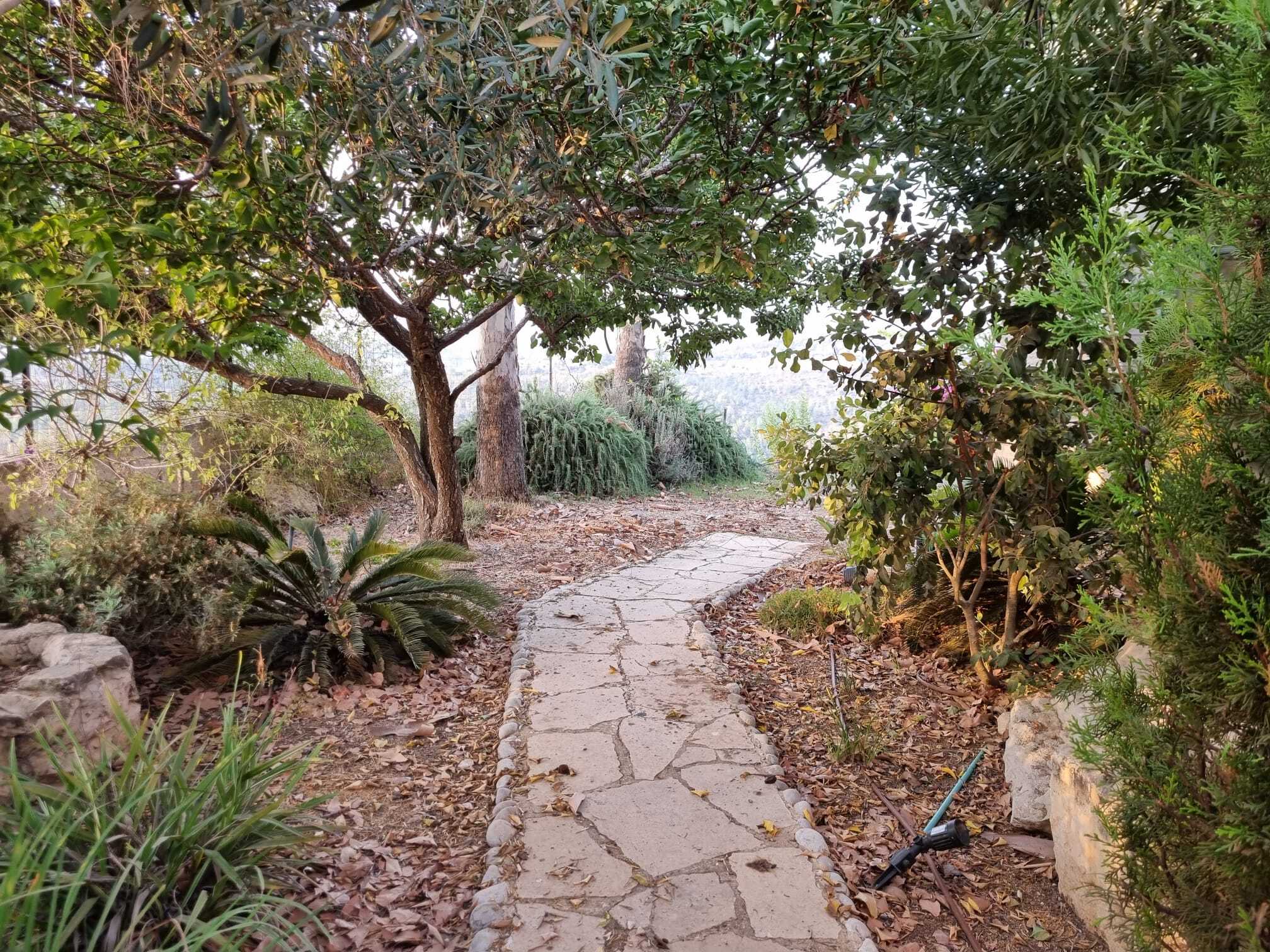 Harimon St, Shoresh | Buy Property In Israel